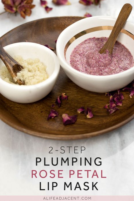 2-Step DIY Plumping Rose Petal Lip Mask for Soft, Plump Lips - A Life ...