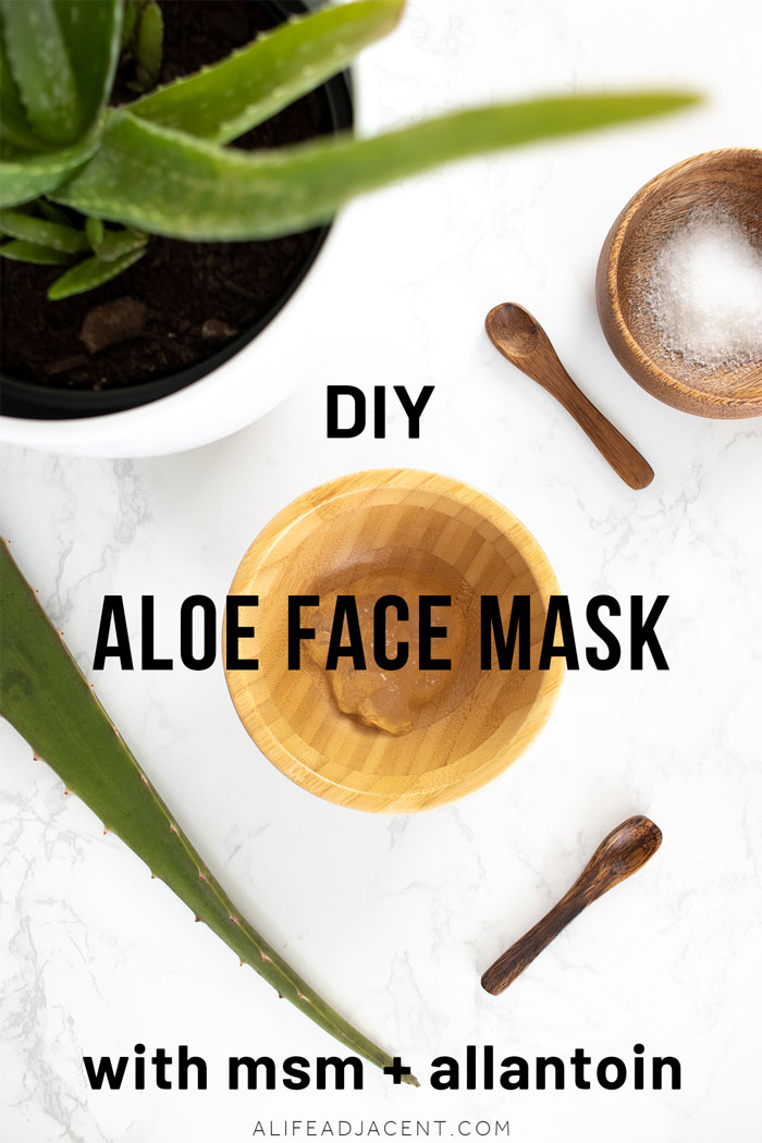 Diy Aloe Vera Face Mask For Glowing Skin A Life Adjacent