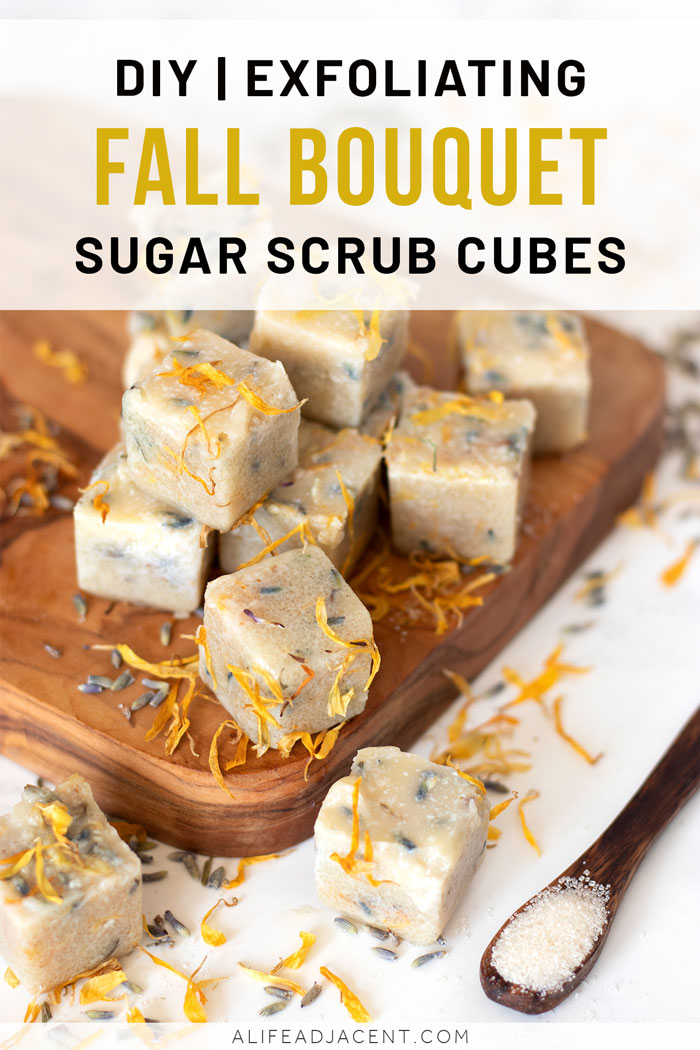 DIY Sugar Scrub Cubes (3 Recipes for Fall) - A Life Adjacent