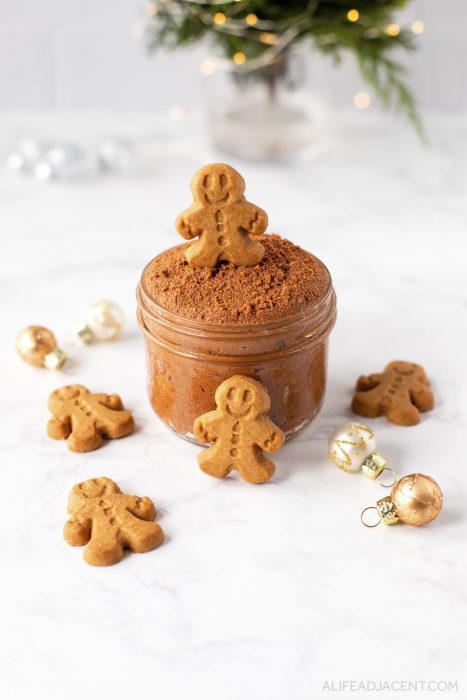 4 DIY Holiday Sugar Scrub Recipes - A Life Adjacent