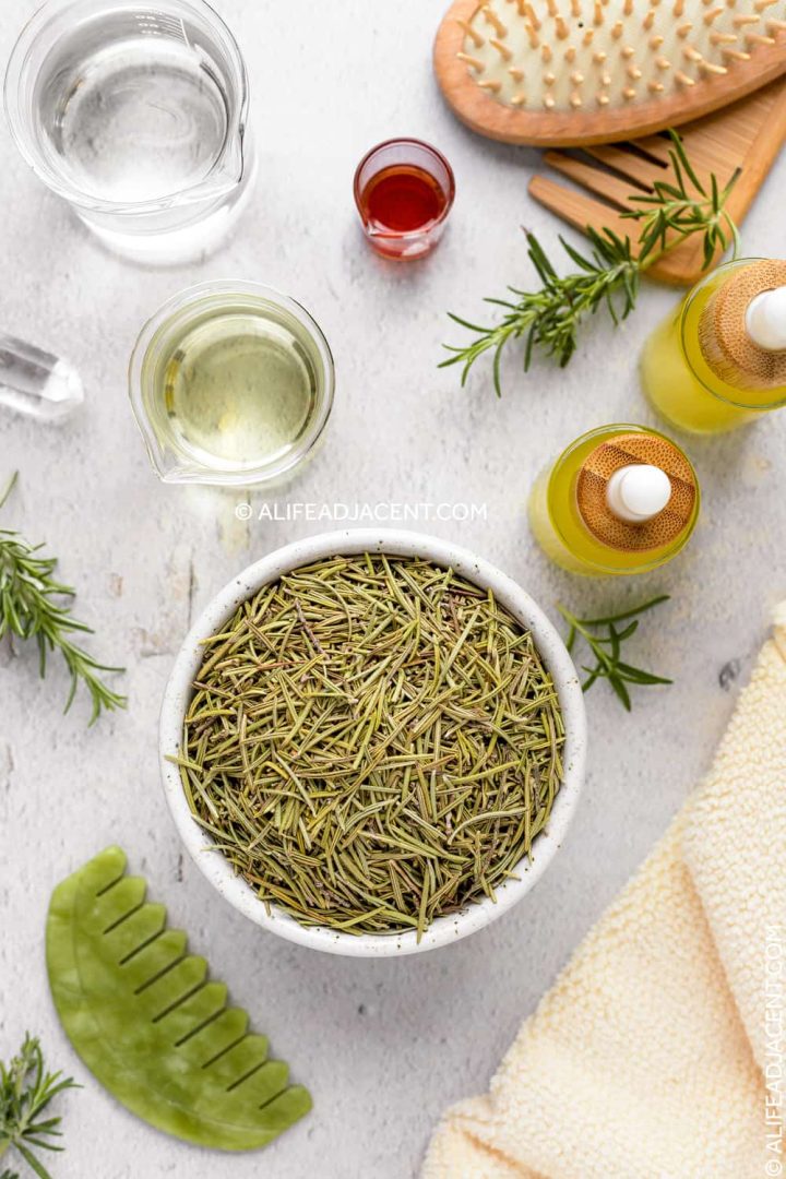 Rosemary Water vs Rosemary Oil for Hair Growth: Benefits + Science