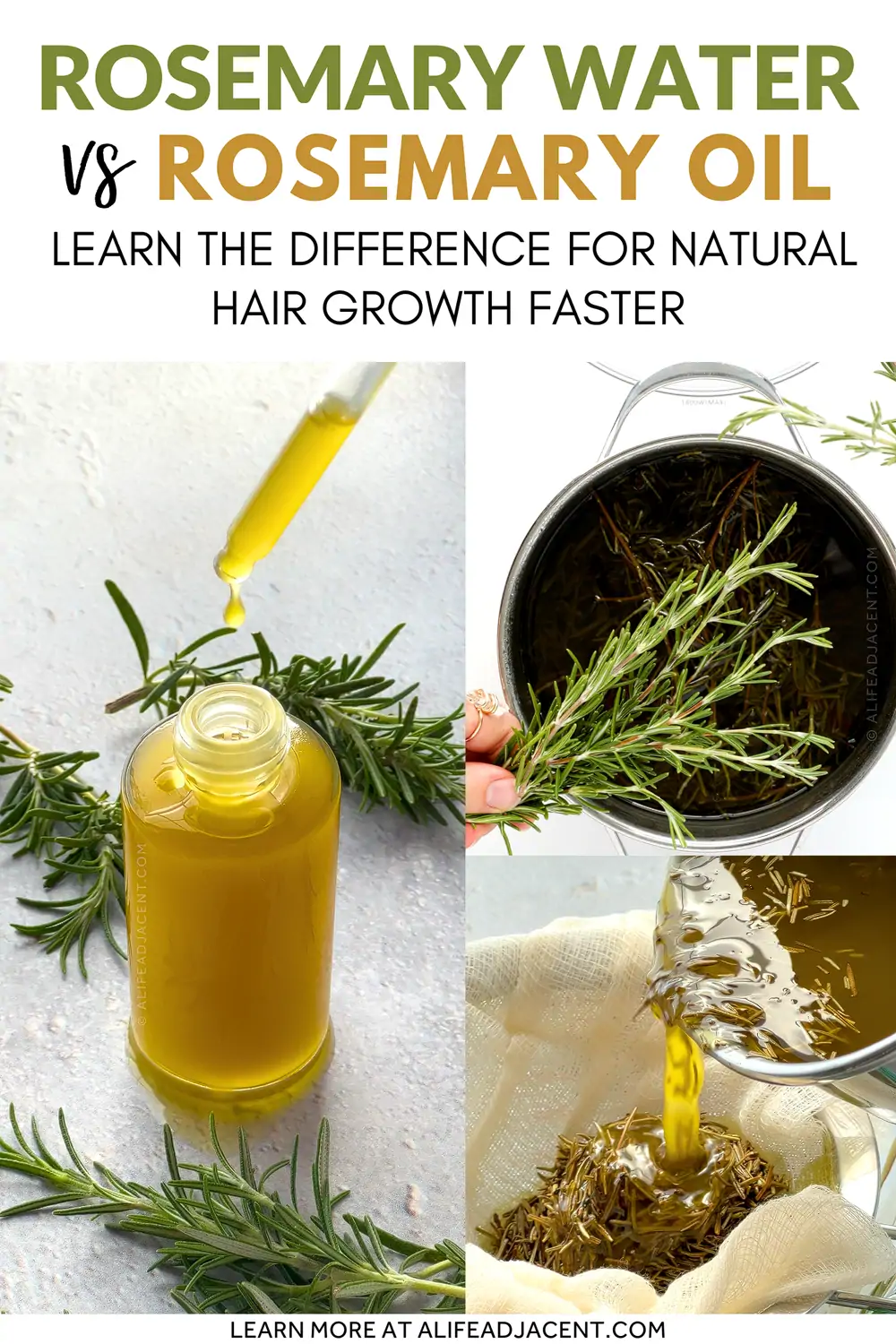 Rosemary Water vs Rosemary Oil for Hair Growth: Benefits + Science